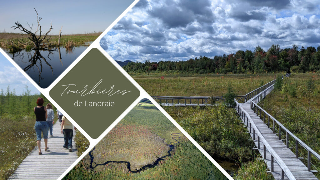 Visite de la Tourbière de Lanoraie